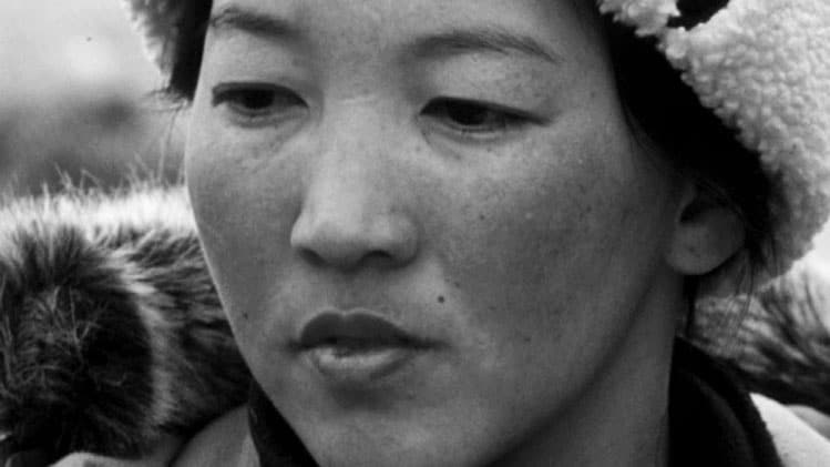 DAVAA Byambasuren - Transmettre le cinéma