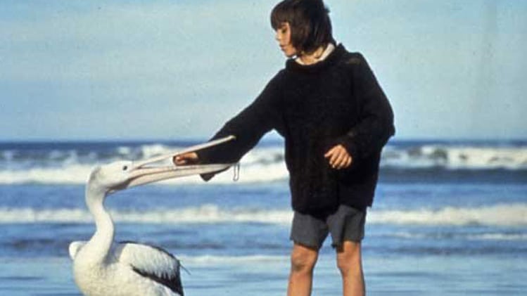 Storm Boy - Transmettre le cinéma