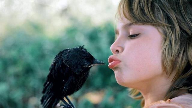 Little Bird (Bande annonce) - Transmettre le cinéma